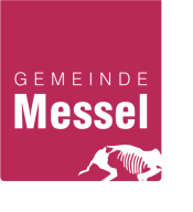 Startseite | Startseite